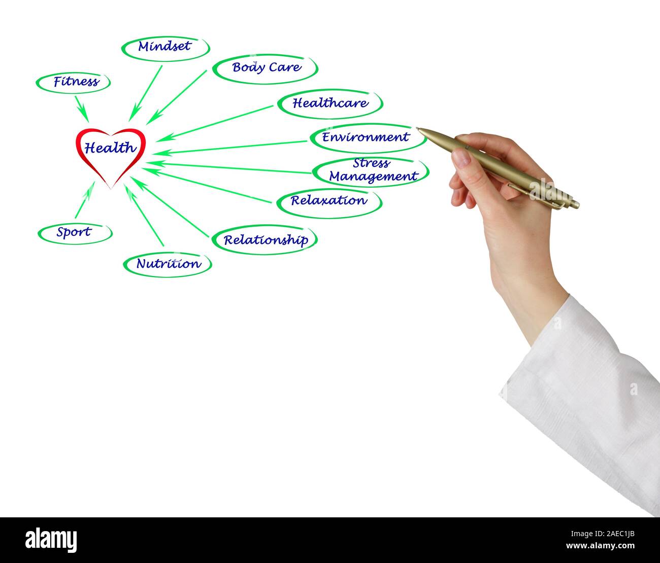 Diagram of health Stock Photo - Alamy