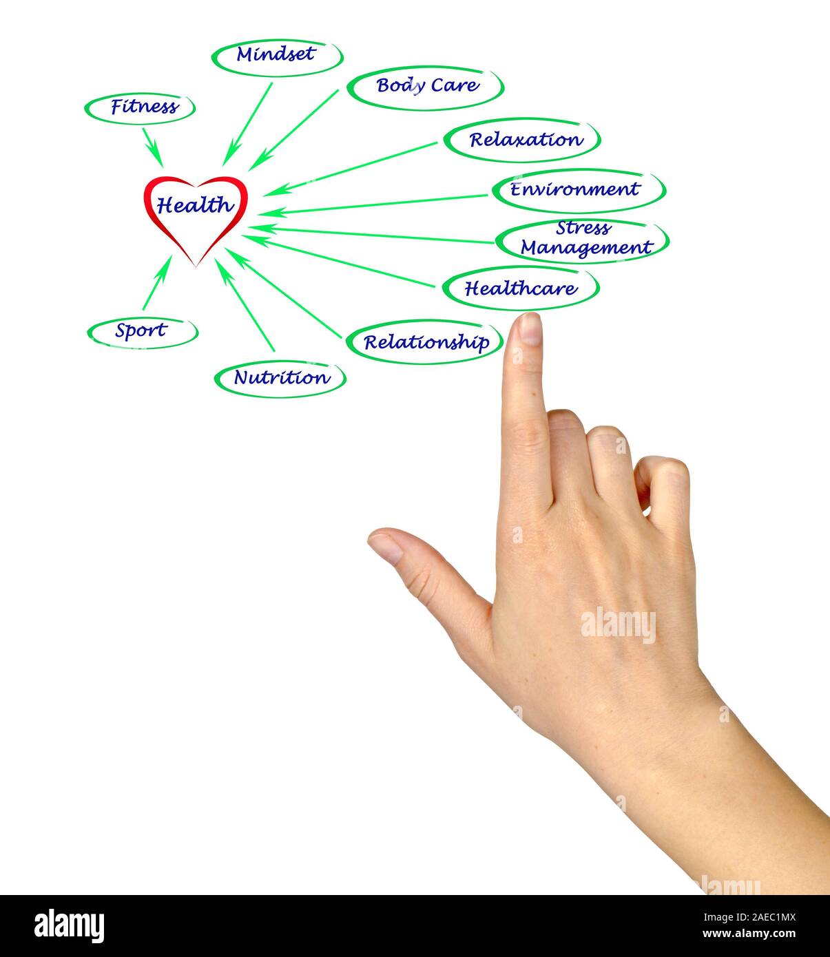 Diagram of health Stock Photo - Alamy