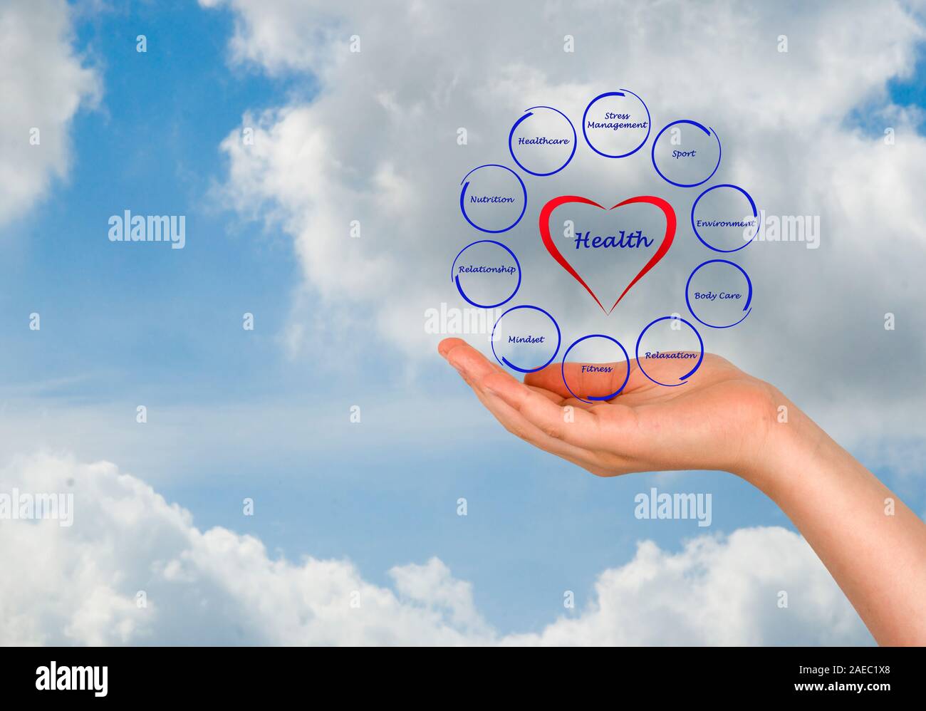 Diagram of health Stock Photo - Alamy