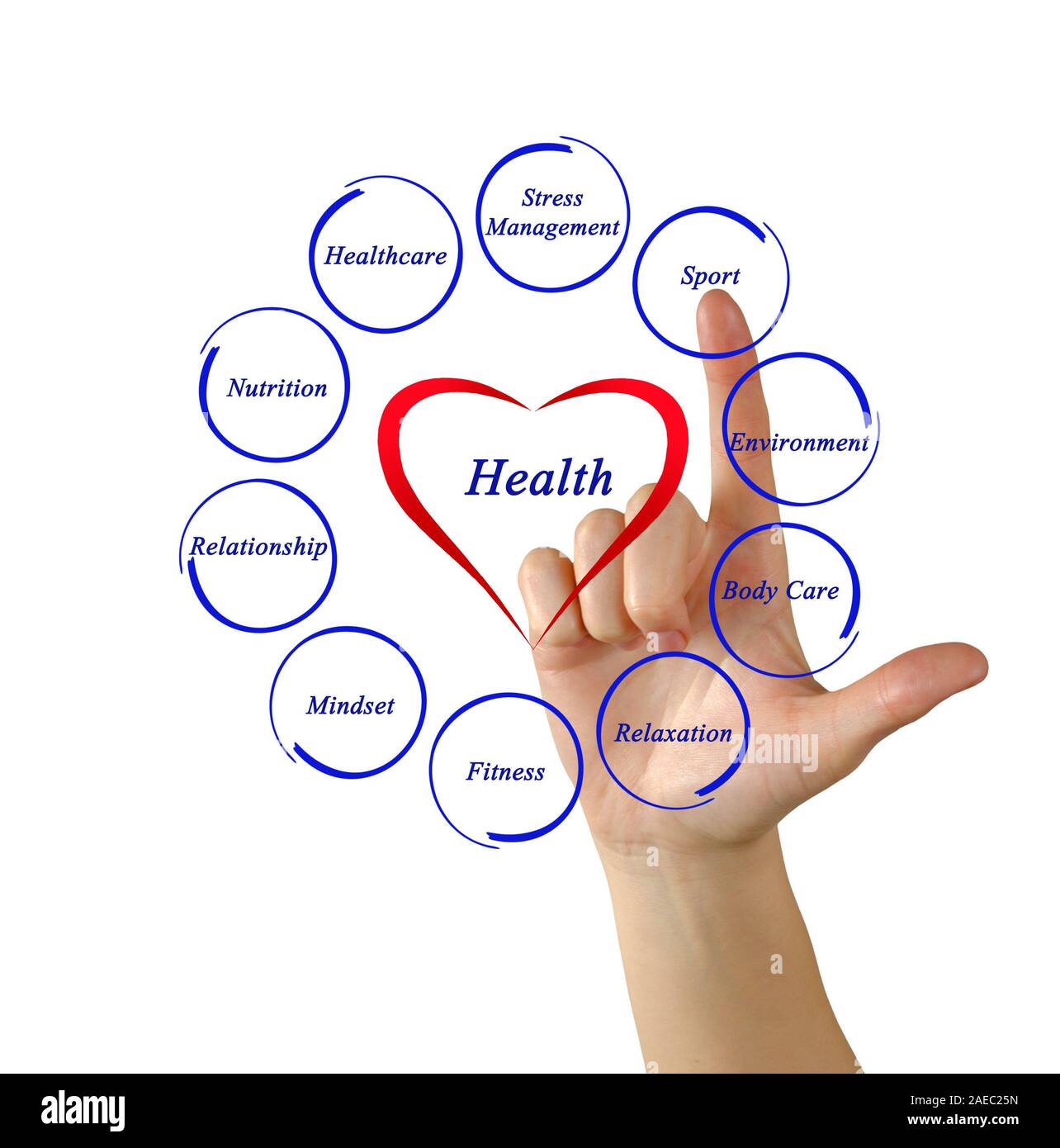 Diagram of health Stock Photo - Alamy