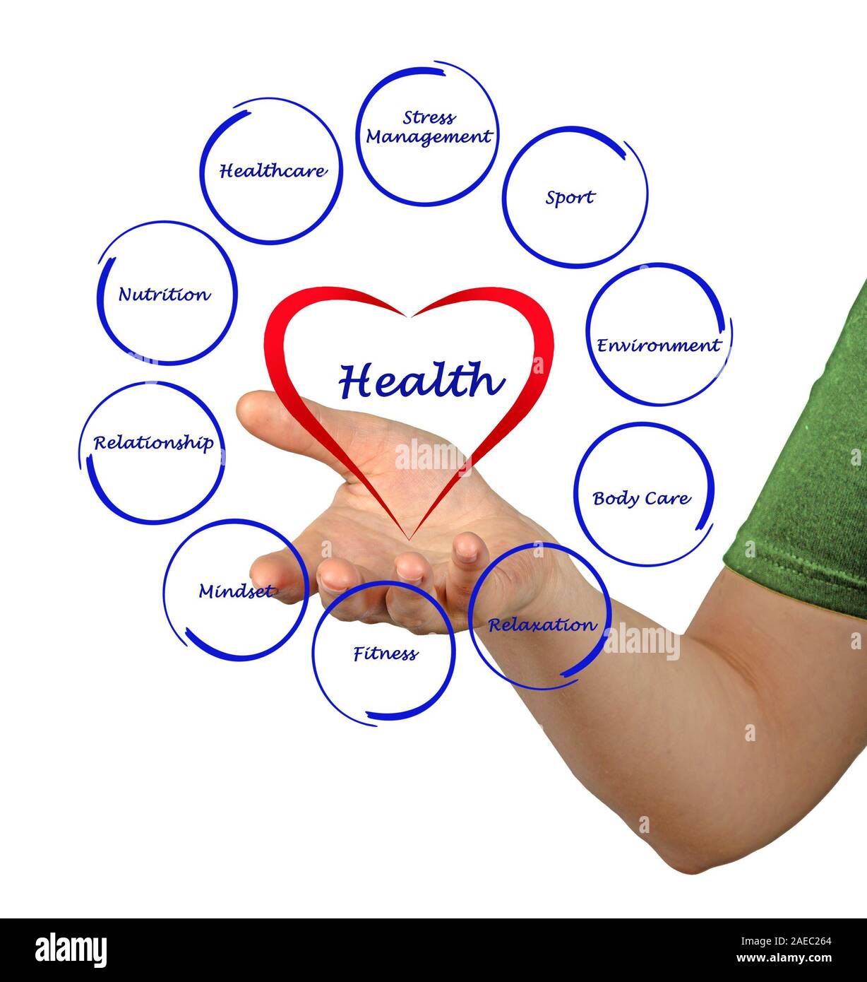 Diagram of health Stock Photo - Alamy