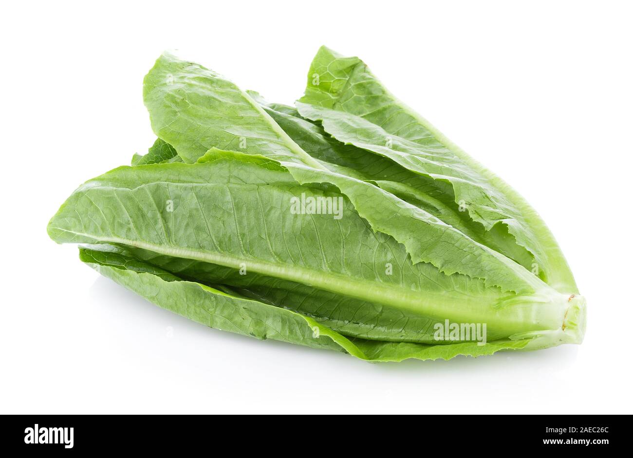 fresh cos lettuce isolated on white background Stock Photo - Alamy