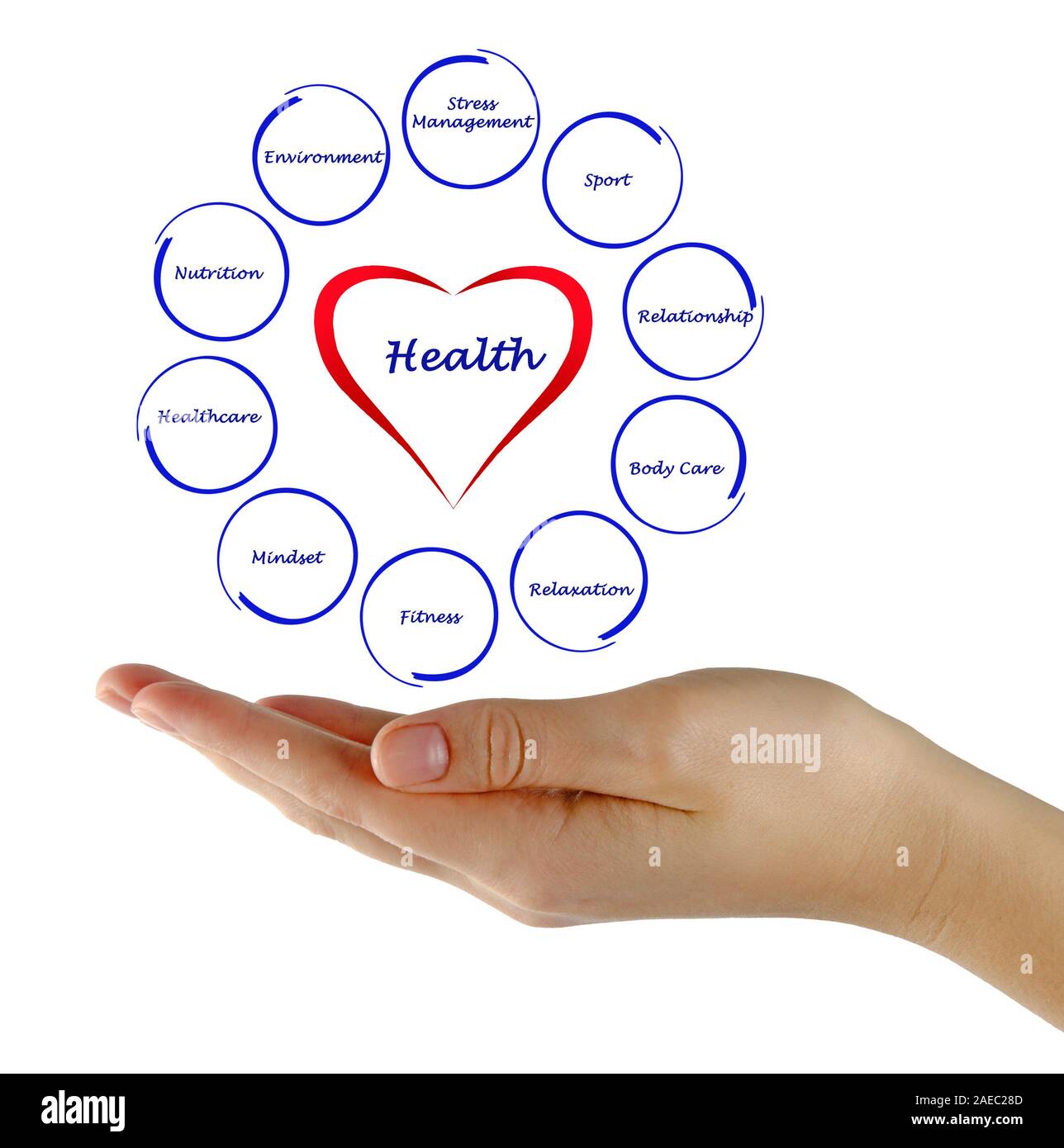 woman presenting Diagram of health Stock Photo - Alamy