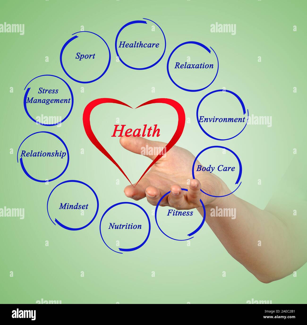 Diagram of health Stock Photo - Alamy