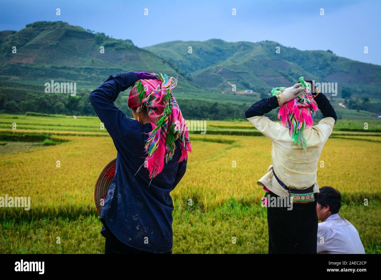 Hmong women with colorful headscarf on rice field in Ha Giang, Vietnam ...