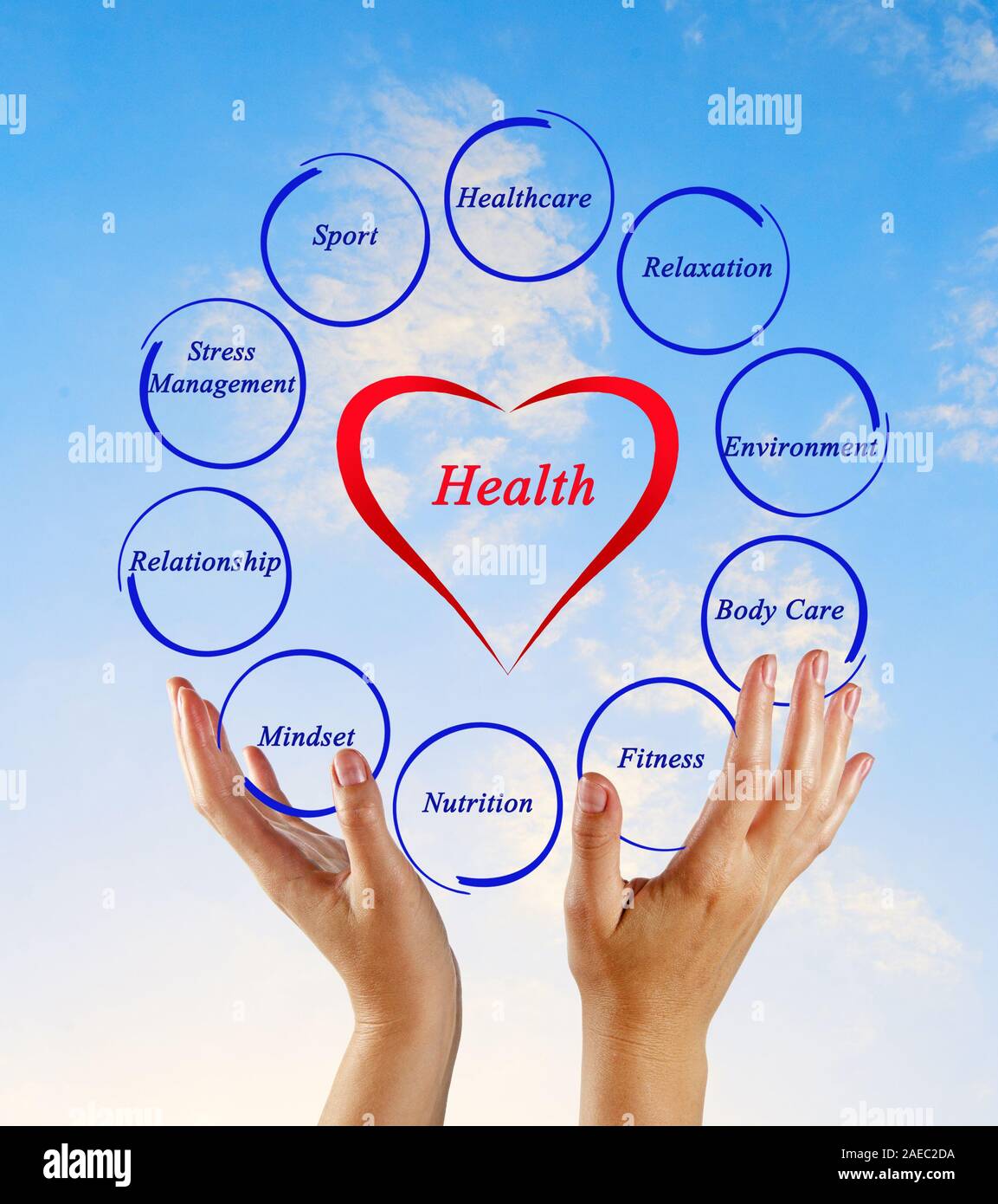 Diagram of health Stock Photo - Alamy