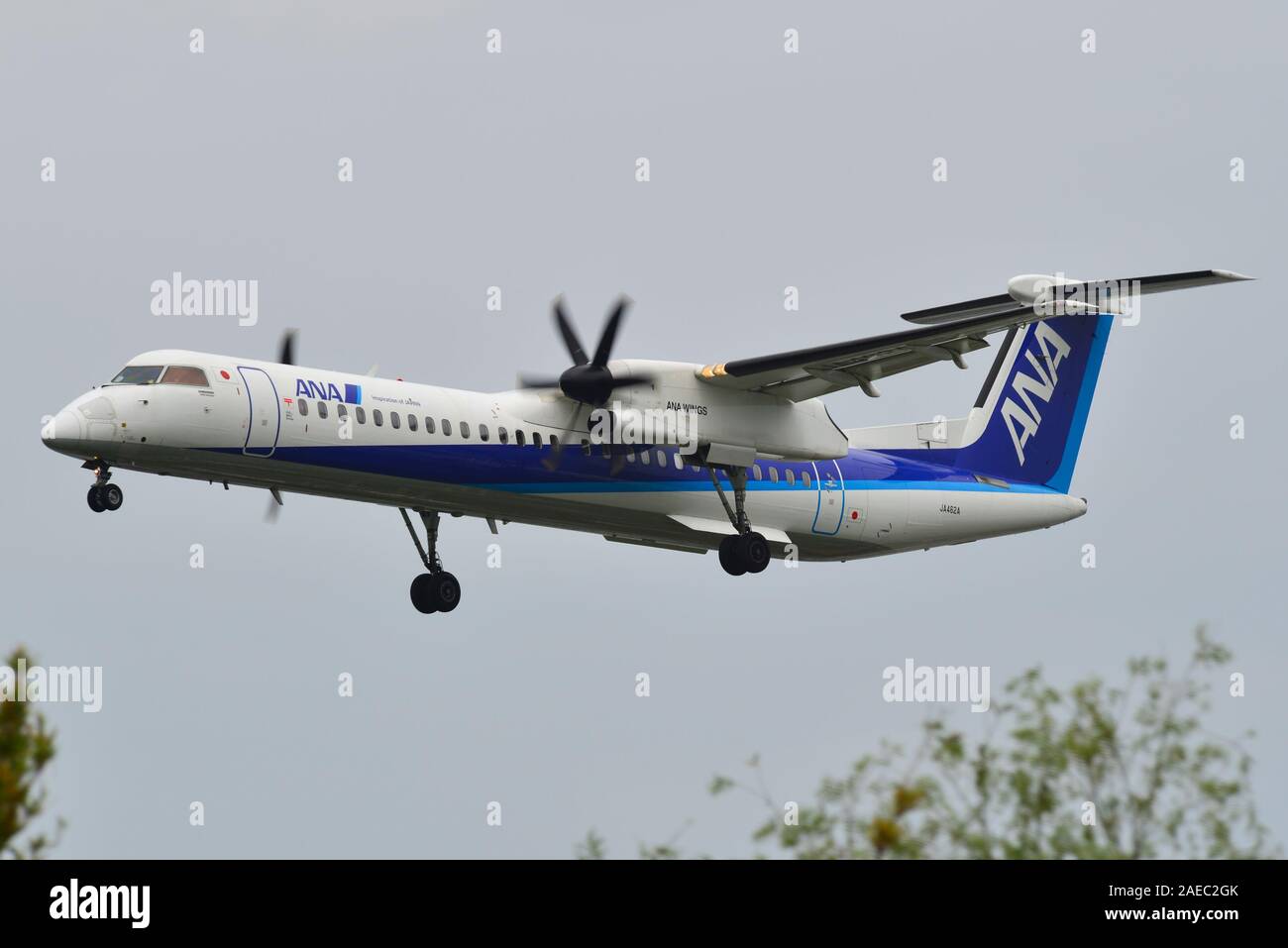 Osaka, Japan - Jun 26, 2019. JA462A ANA Wings Bombardier De Havilland ...