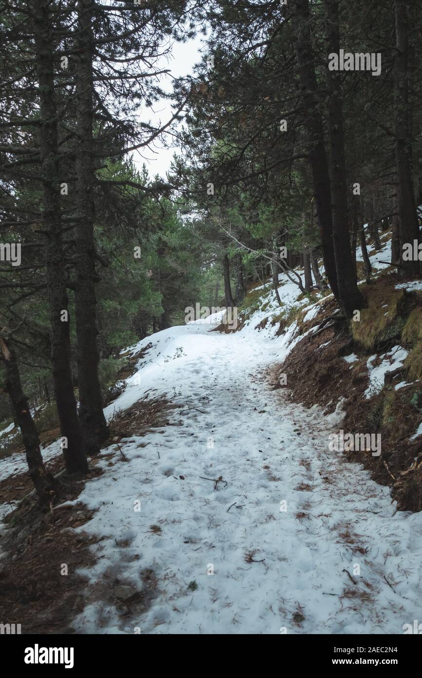 Photo taken at Vall de Nuria, Spain. Autumn in the spanish Pirineos ...