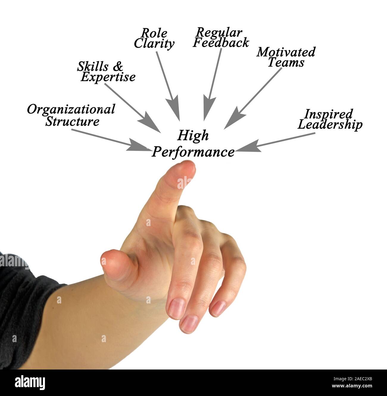 Organizational role hi-res stock photography and images - Alamy