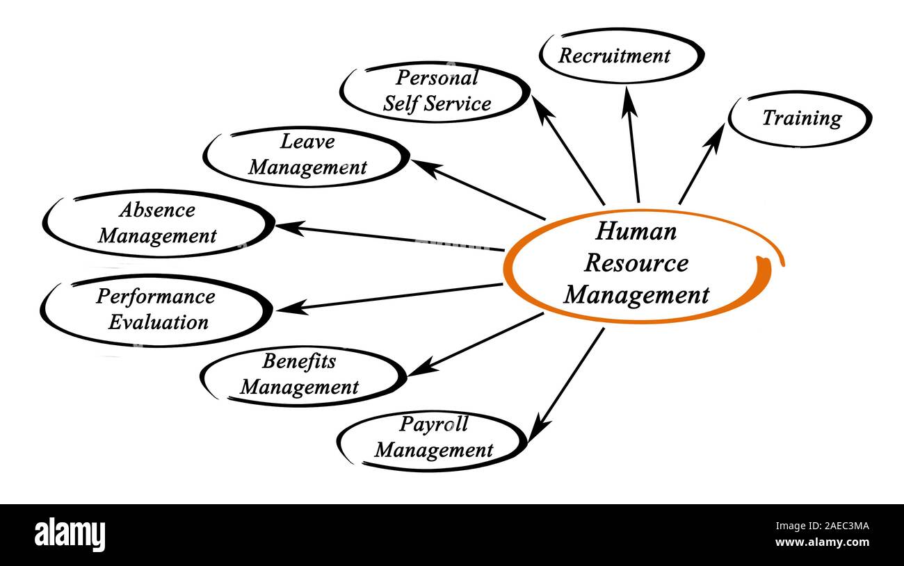 Human Resource Management Stock Photo - Alamy