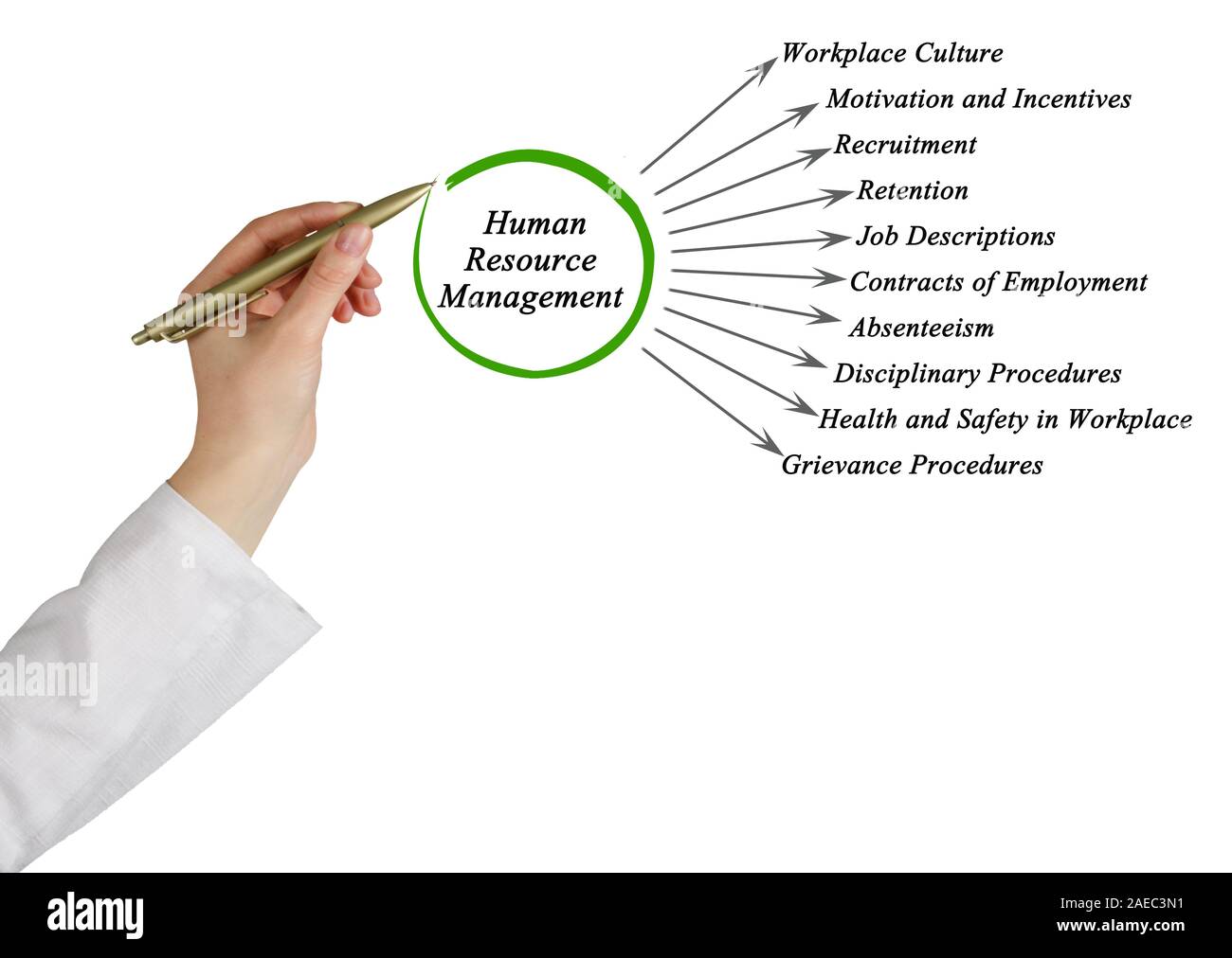 Diagram of Human Resource Management Stock Photo - Alamy