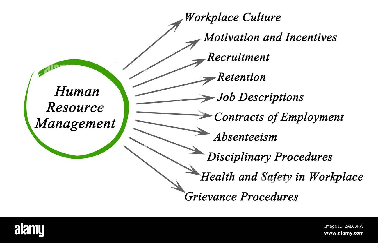 Diagram of Human Resource Management Stock Photo - Alamy Diagram of Human Resource Management Stock Photo - Alamy