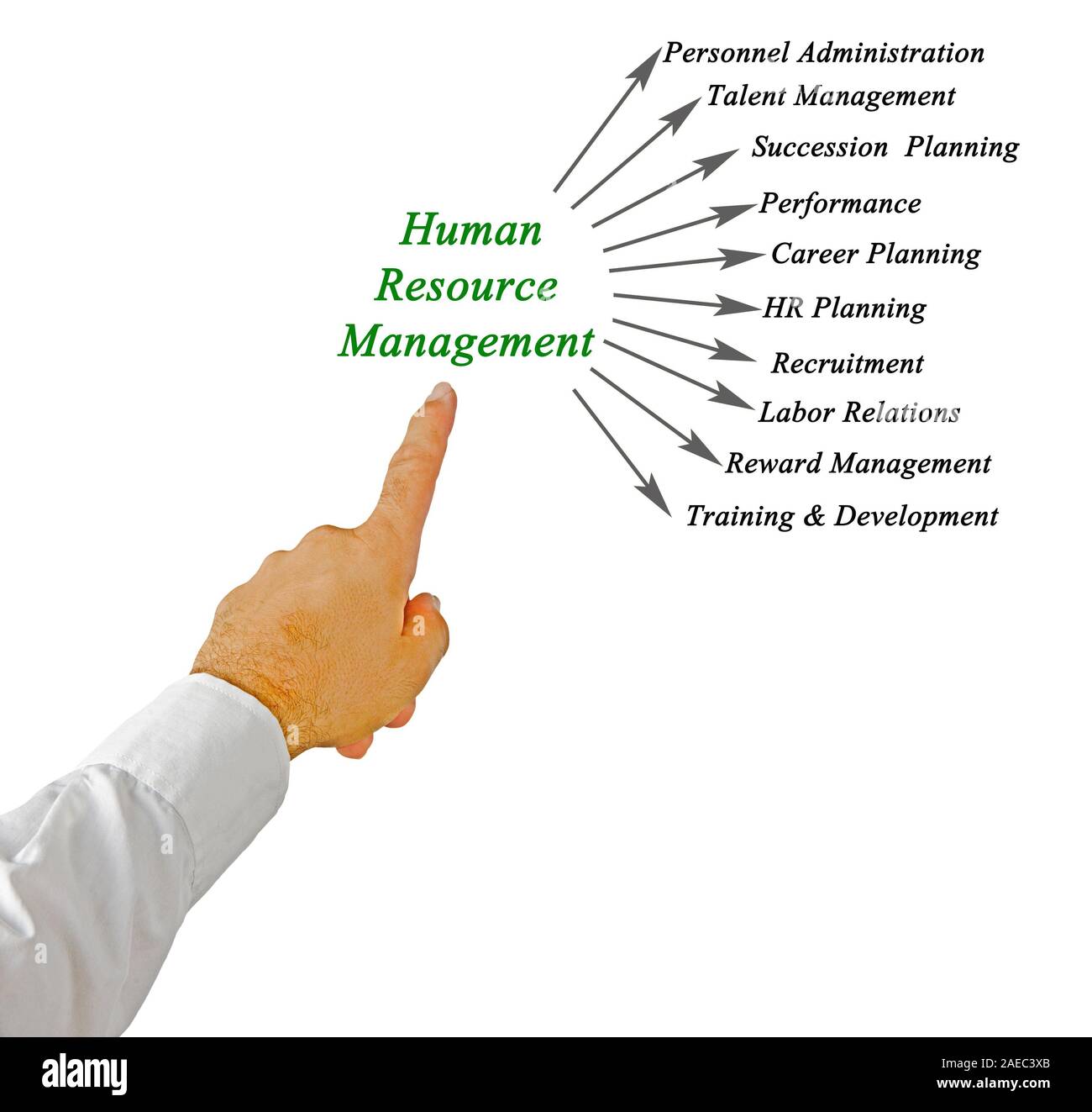 Human Resource Management Stock Photo - Alamy