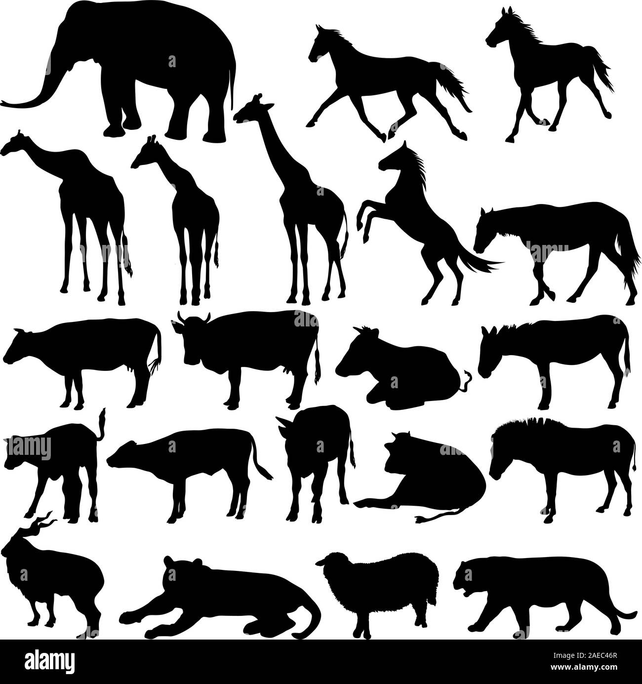 Set silhouettes animals in zoo collection on a white background. Vector ...