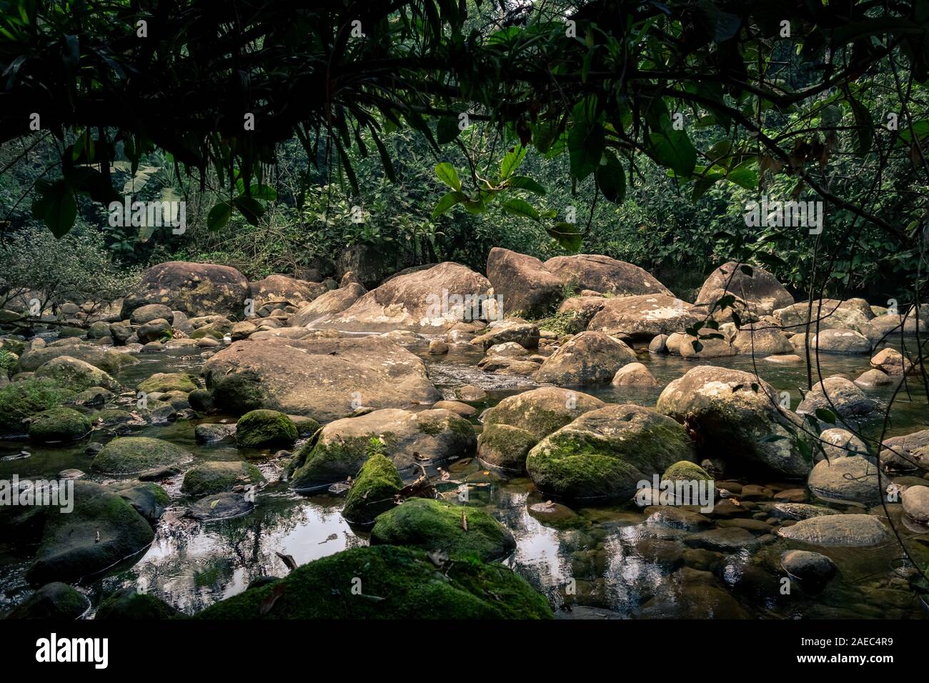 River with rocks and crystal clear water, inside rainforest, Rio de ...