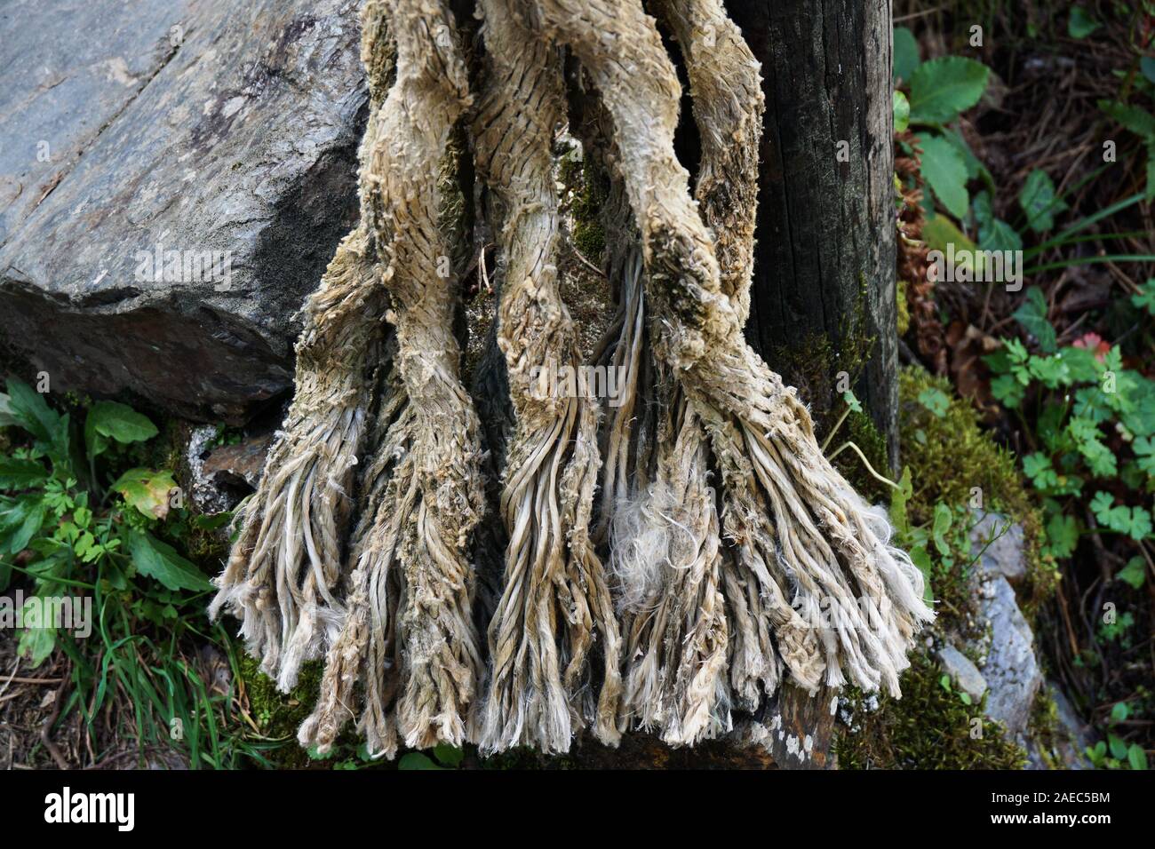 Image of landscape with end of the rope in field Stock Photo - Alamy