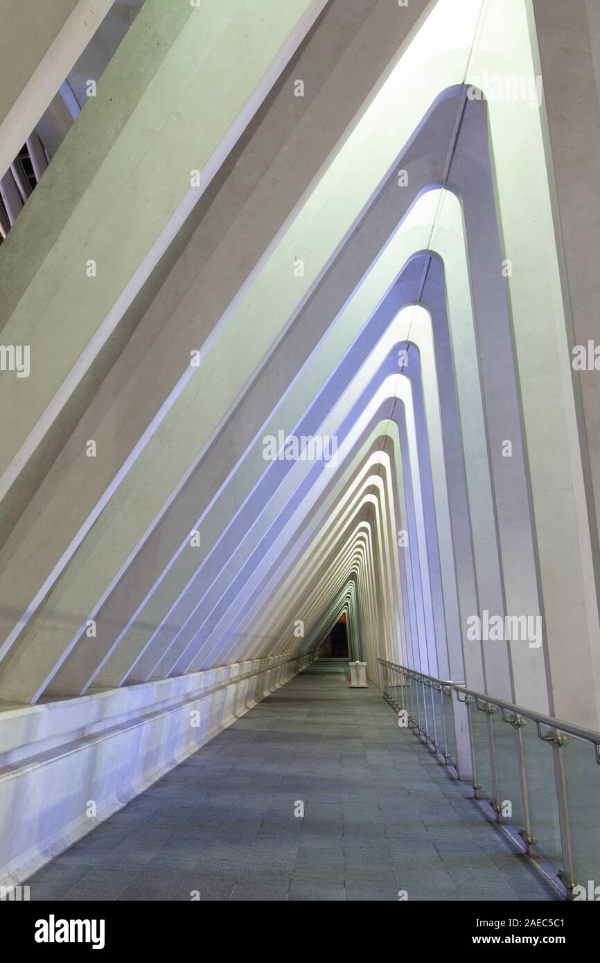 Main train station Liege Guillemins, which was designed by santiago ...
