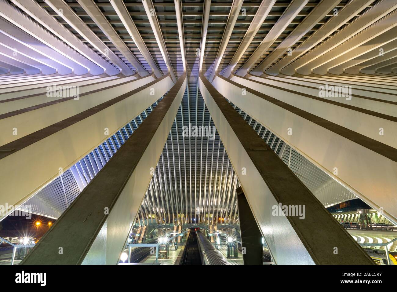 Main train station Liege Guillemins, which was designed by santiago ...