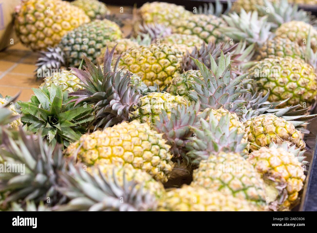 Smiling holding bunch fruits hi-res stock photography and images - Alamy