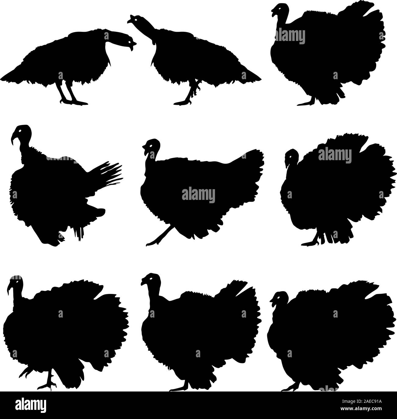 Silhouettes of turkeys. Vector illustration Stock Vector Image & Art ...