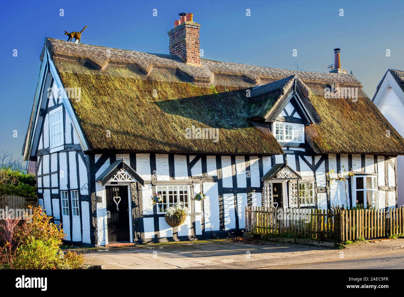 Half Timbered Thatched Cottage Stock Photos & Half Timbered Thatched ...