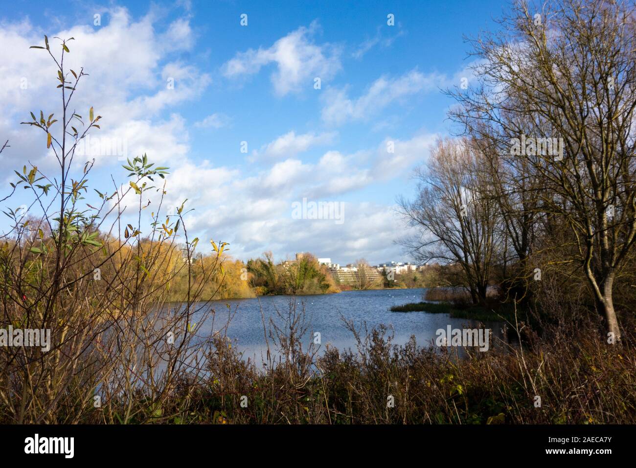 Uea Broad High Resolution Stock Photography and Images - Alamy