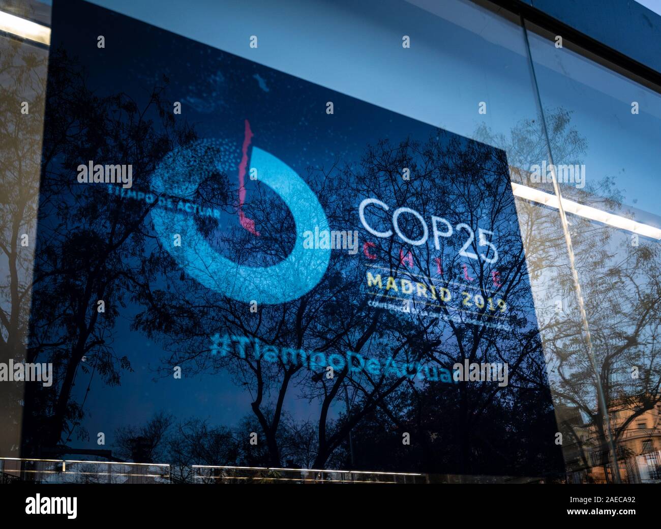 Trees and leaves silhouette reflection over a COP25 poster Stock Photo ...
