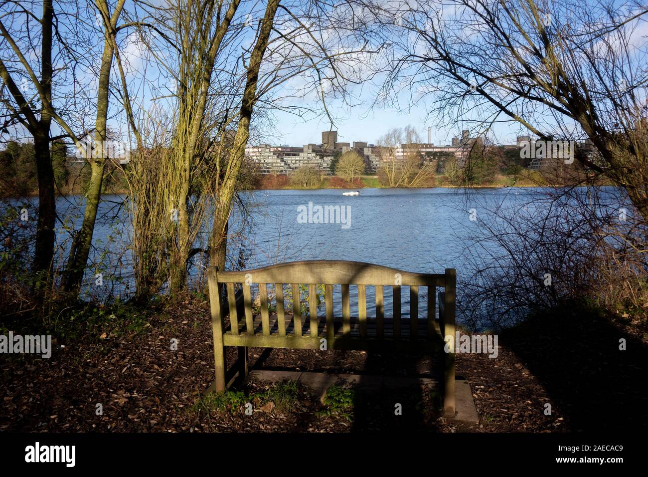 UEA lake the broad Stock Photo - Alamy