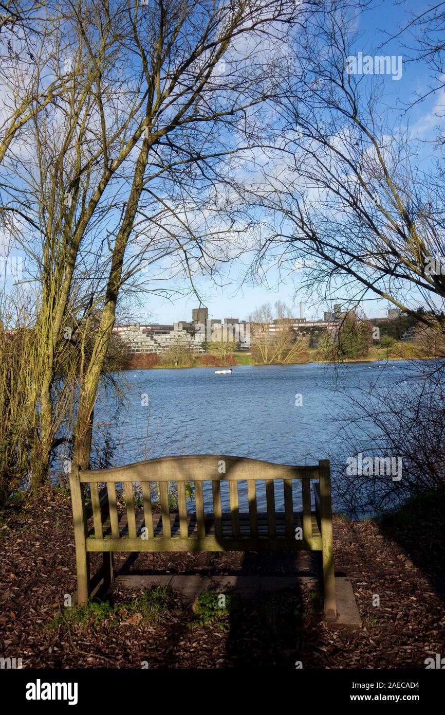 UEA lake the broad Stock Photo - Alamy