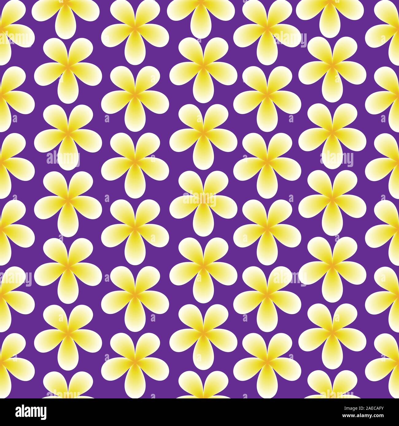 Frangipani ( Plumeria) flower pattern. Bali concept. Vector EPS10 Stock ...