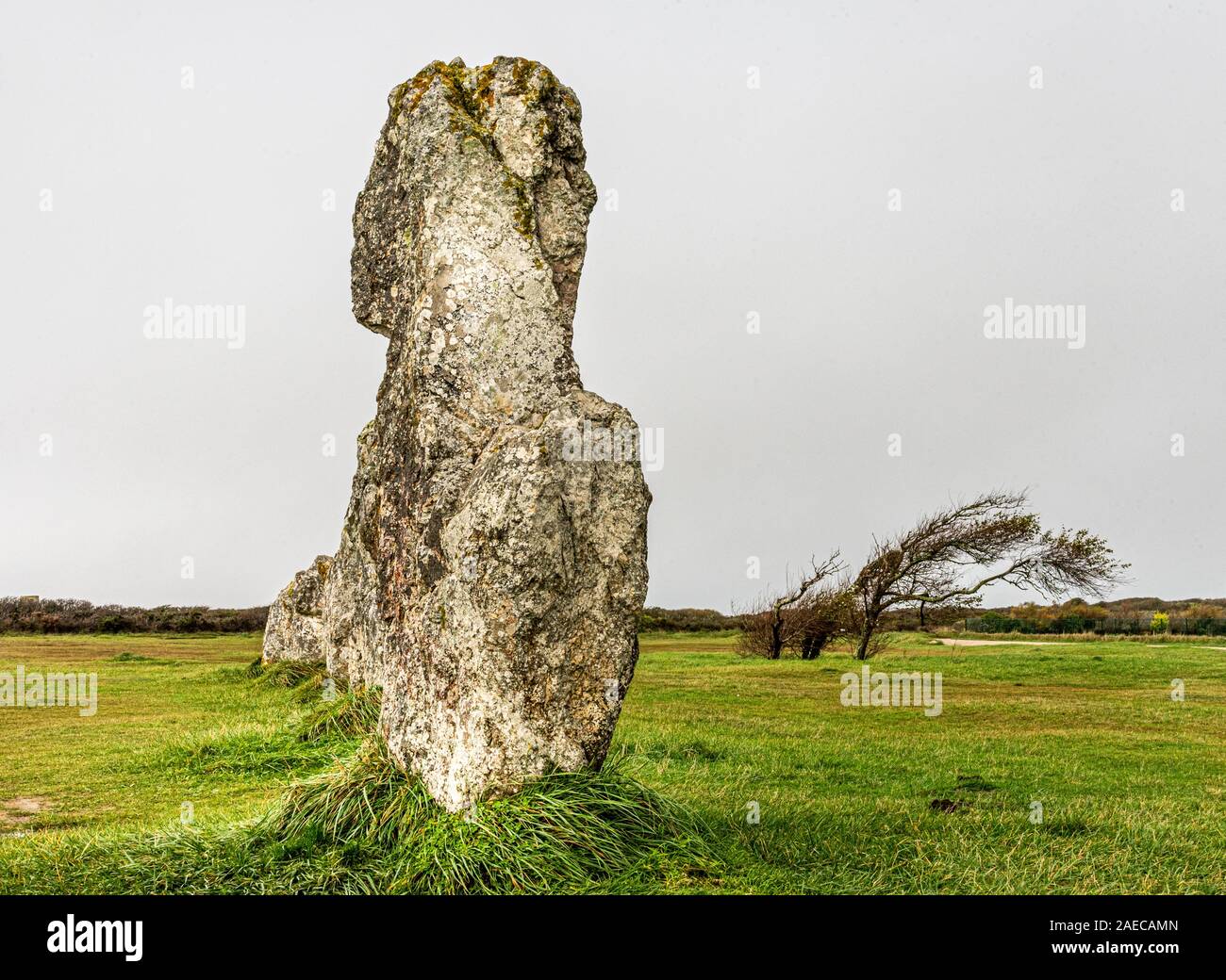 Standing stones in Brittany. Alignment of menhirs on a green meadow on ...