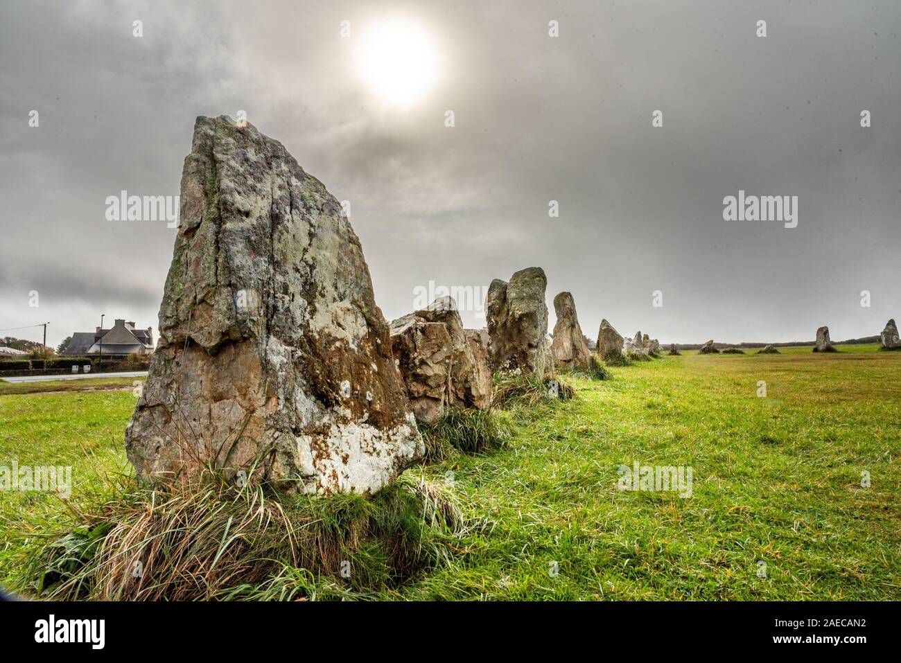 Standing stones in Brittany. Alignment of menhirs on a green meadow and ...