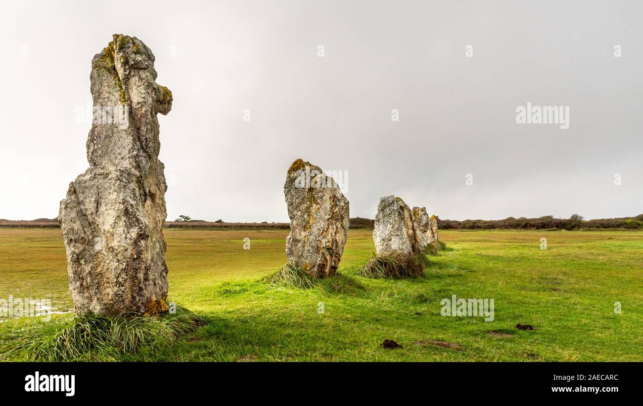 Standing stones in Brittany. Alignment of menhirs on a green meadow and ...