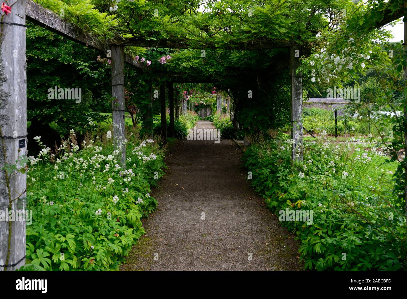 Perennial borders hi-res stock photography and images - Alamy