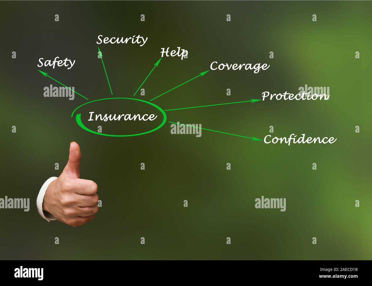 Diagram of insurance Stock Photo - Alamy