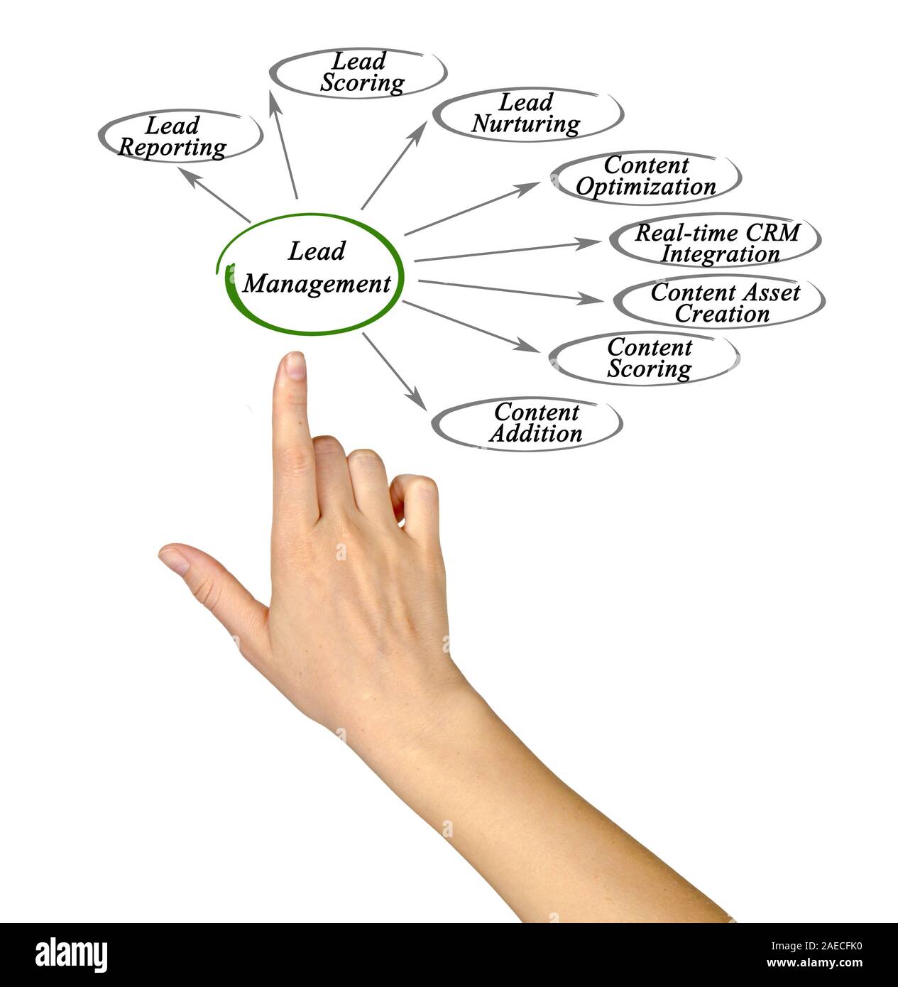 Diagram of Lead Management Stock Photo - Alamy