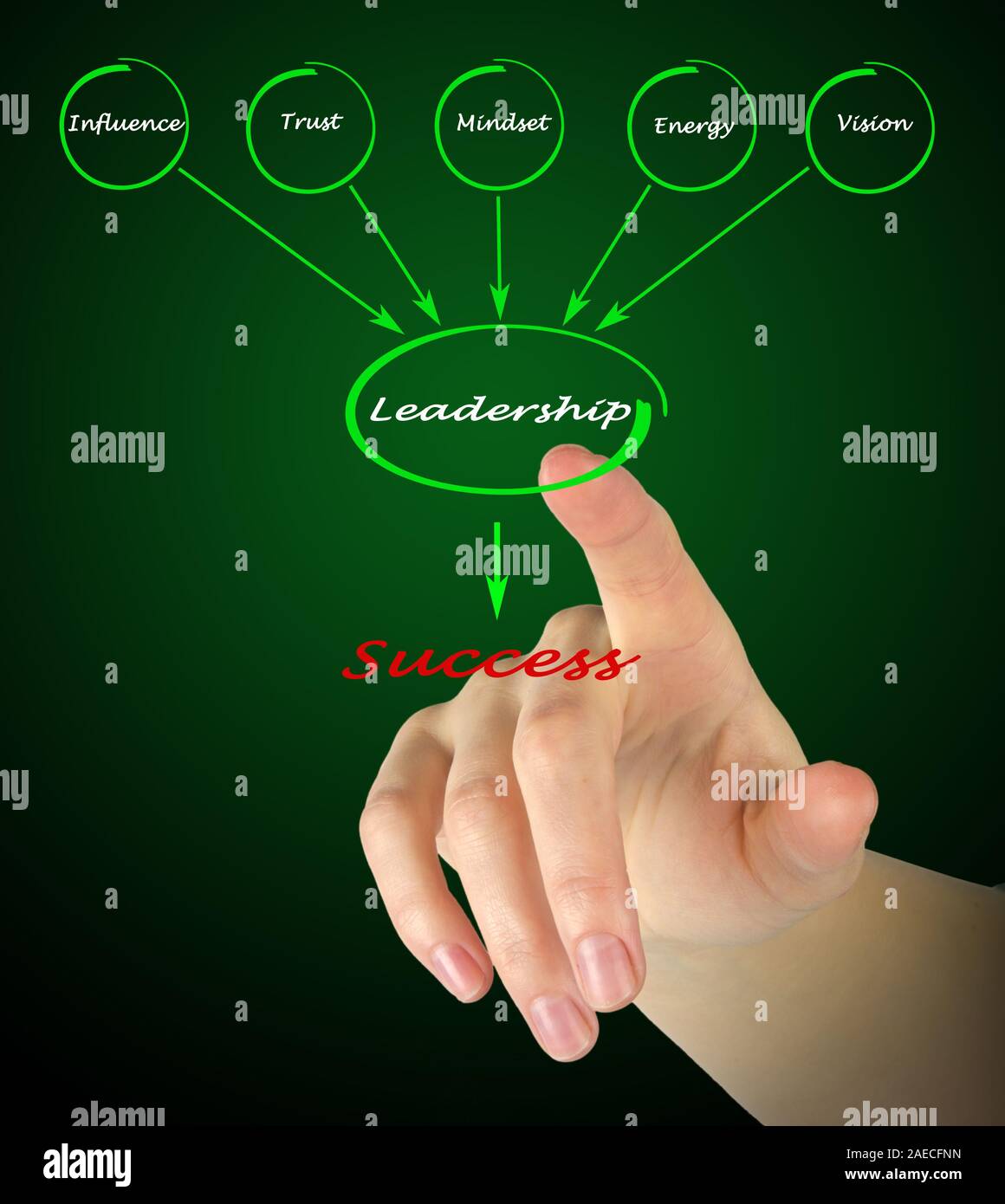 Diagram showing components of leadership Stock Photo - Alamy