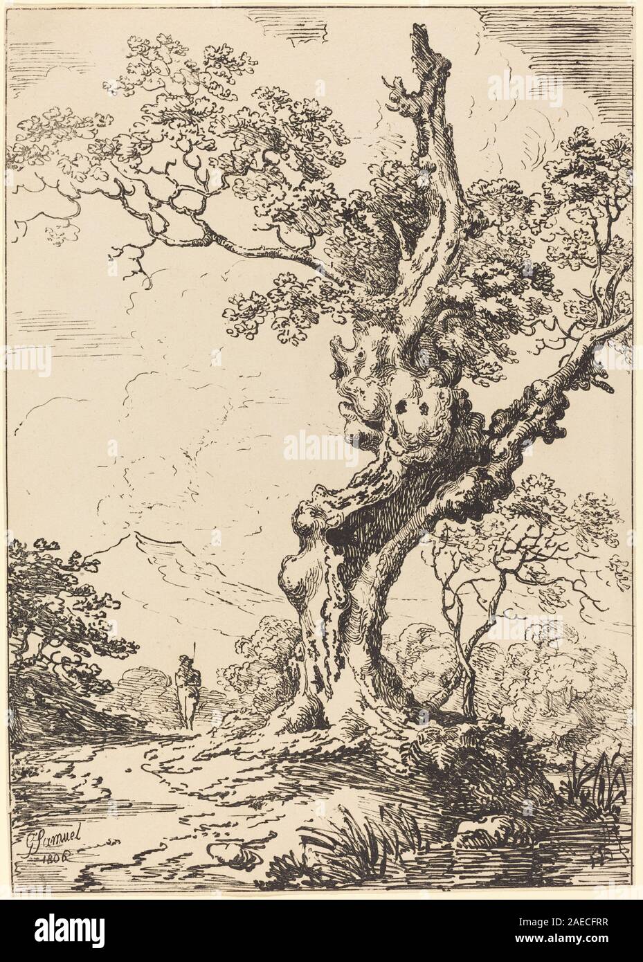 Observation from study on hi-res stock photography and images - Alamy