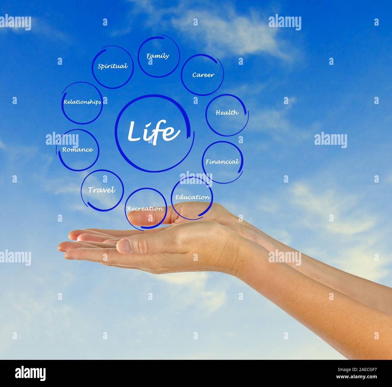 Diagram of life Stock Photo - Alamy