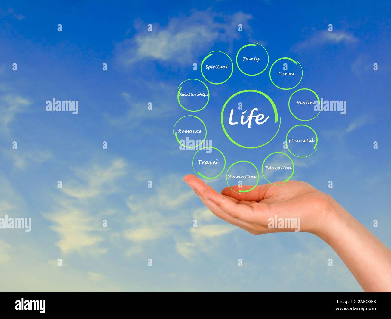 Diagram of life Stock Photo - Alamy