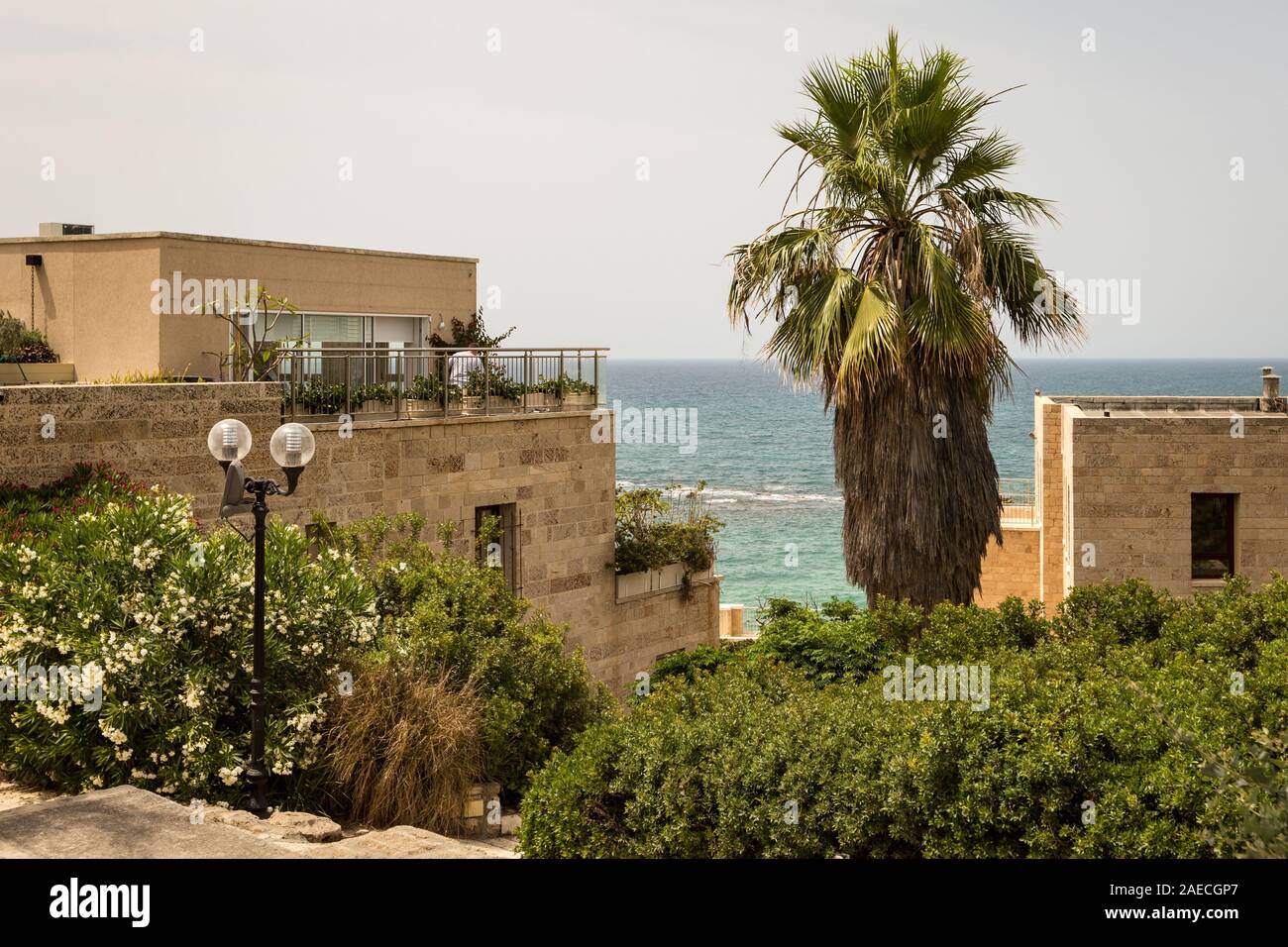Jaffa (Yaffo, Joppa) is one of the oldest port cities in the land of ...