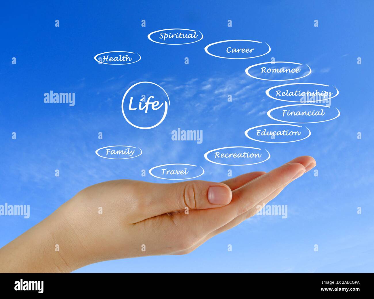 Diagram of life Stock Photo - Alamy