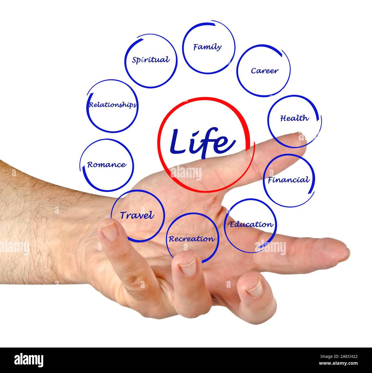 Diagram of life Stock Photo - Alamy