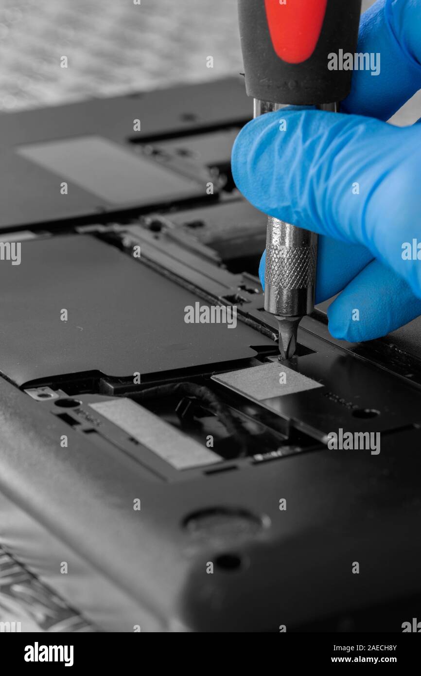 Technician installing hard drive HDD to a laptop computer using ...