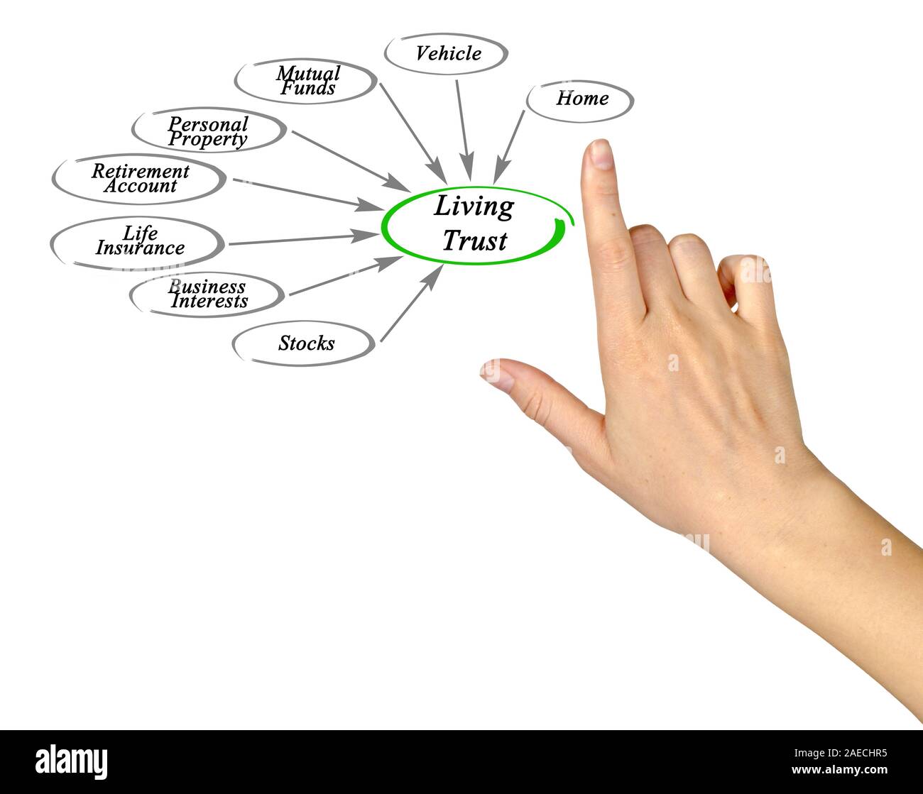 Diagram of Living Trust Stock Photo - Alamy