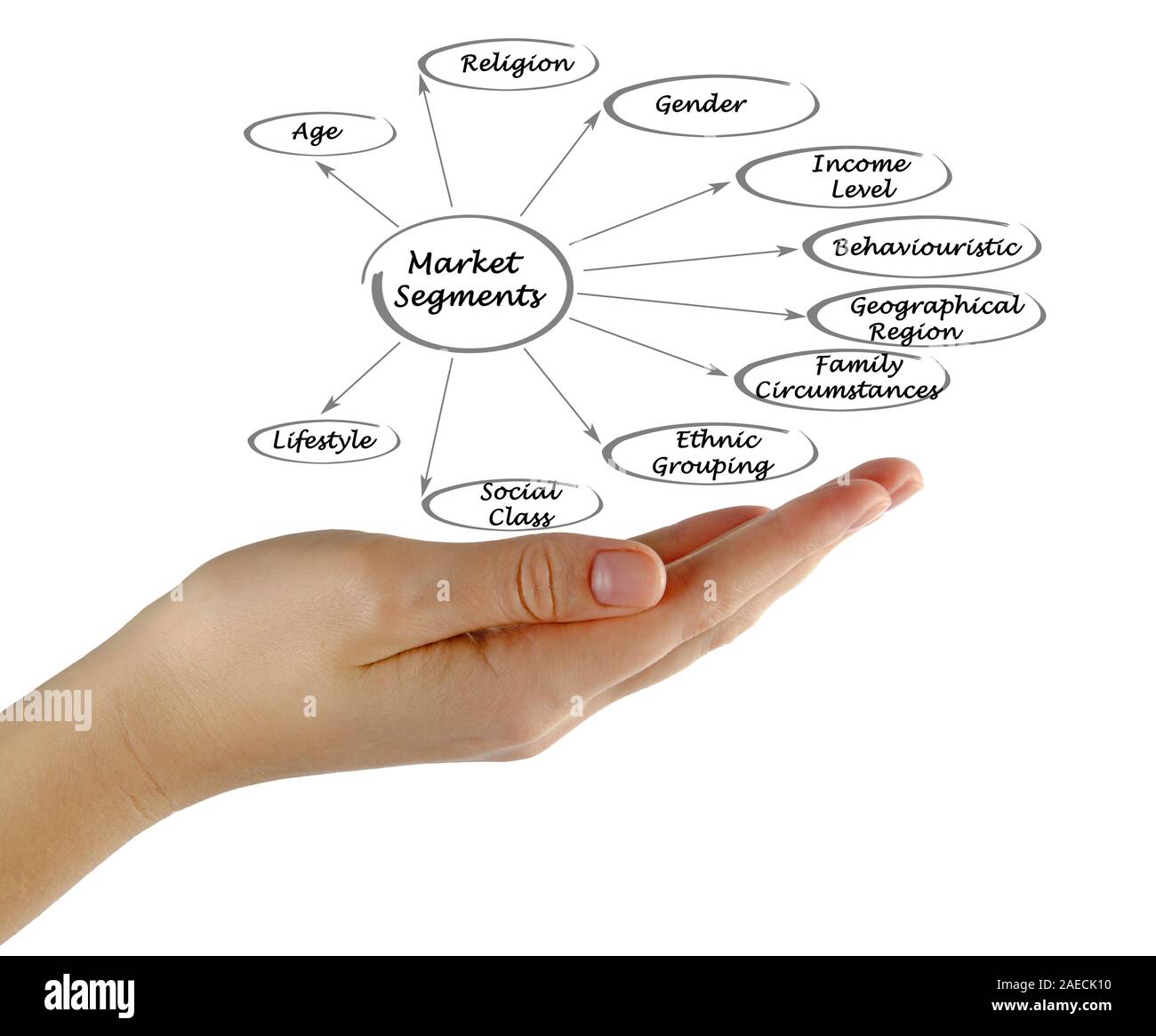 Market segmentation Cut Out Stock Images & Pictures - Alamy