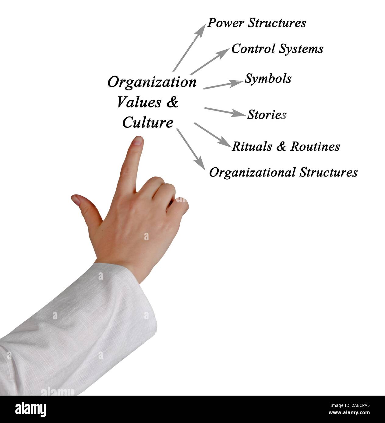 Diagram of Organization Values & Culture Stock Photo - Alamy