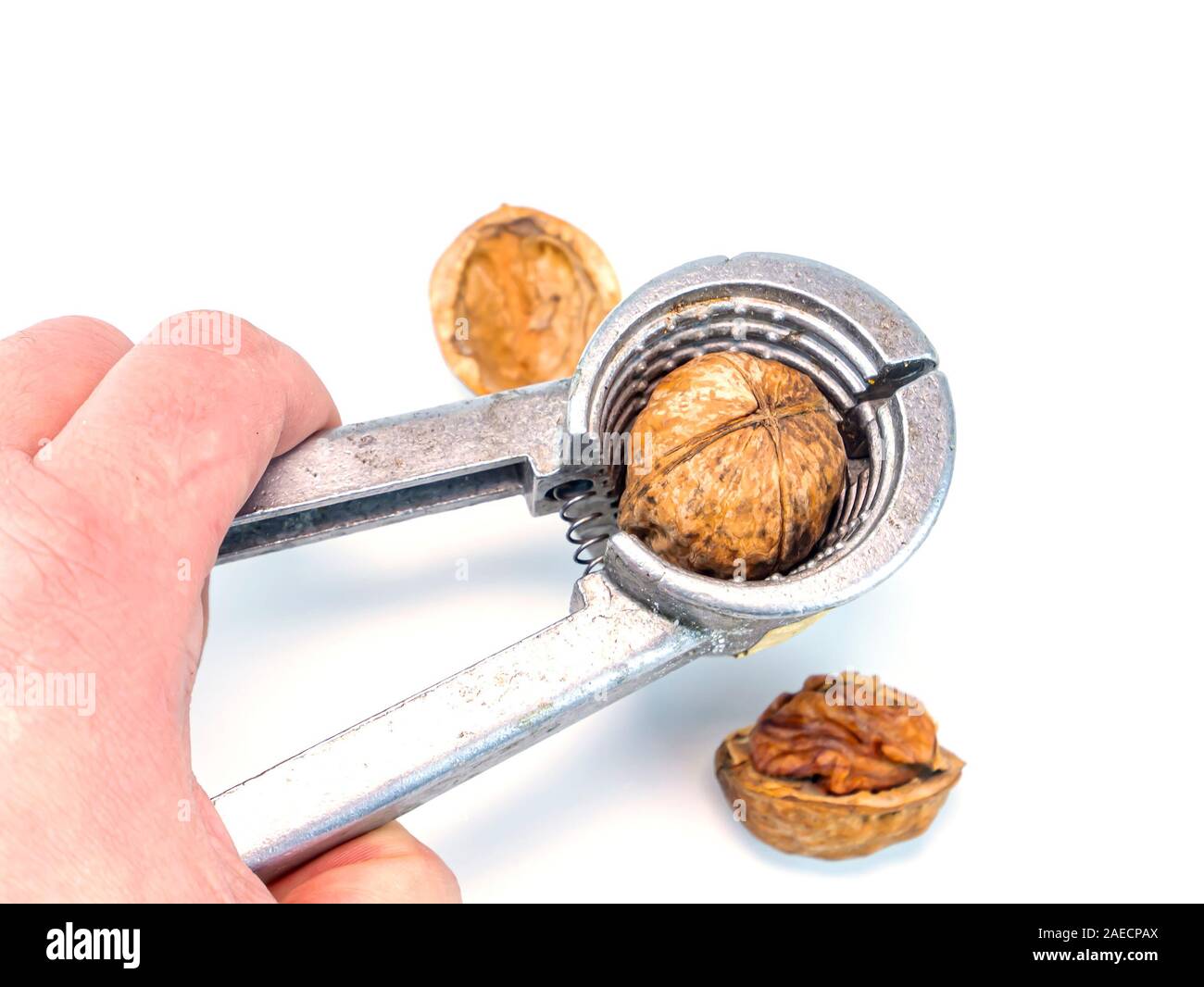Cracking walnuts on a white background with place for text. Free place ...