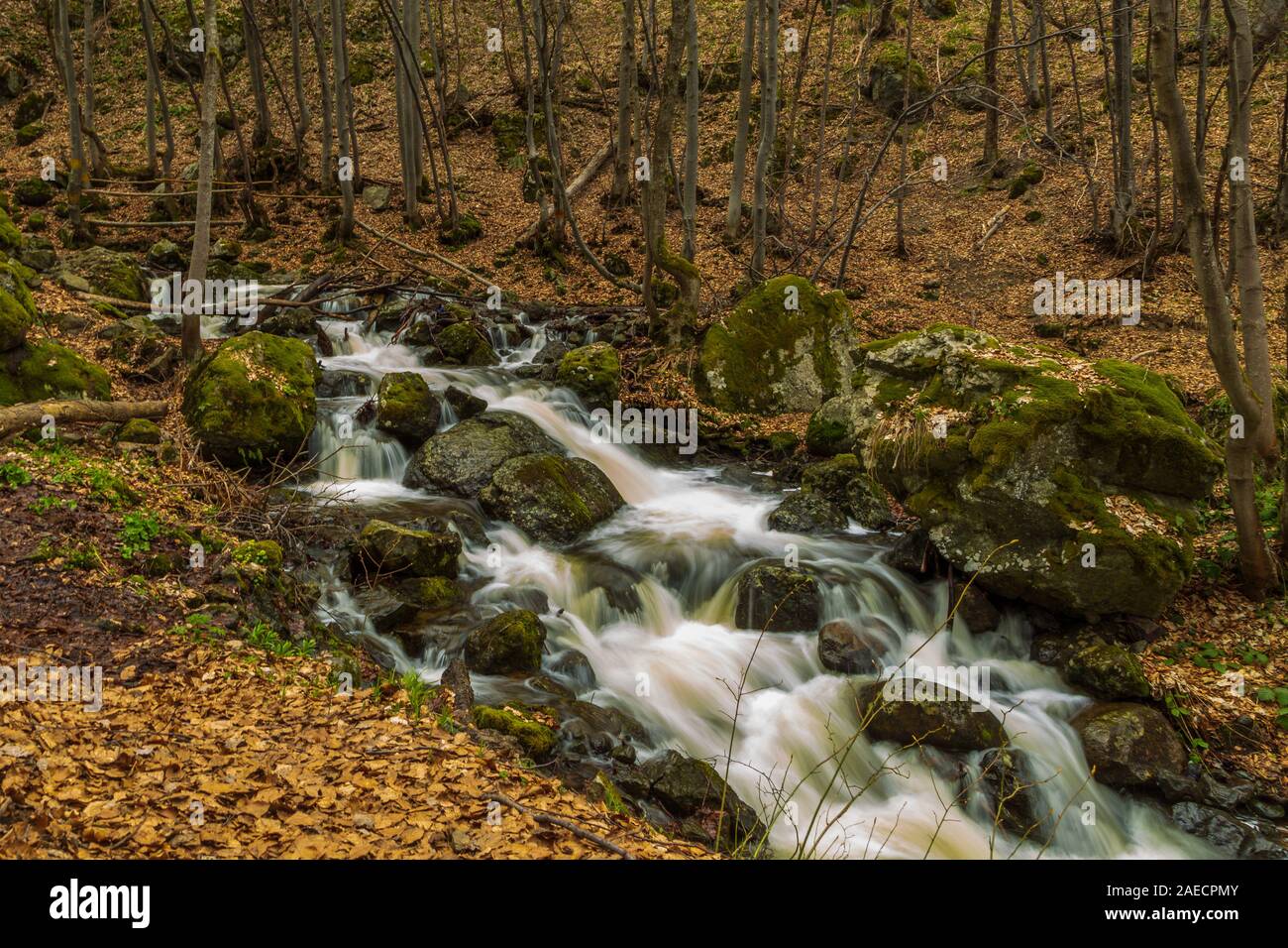 Stream flowing on the slope of the mountain, Bulgaria Stock Photo - Alamy
