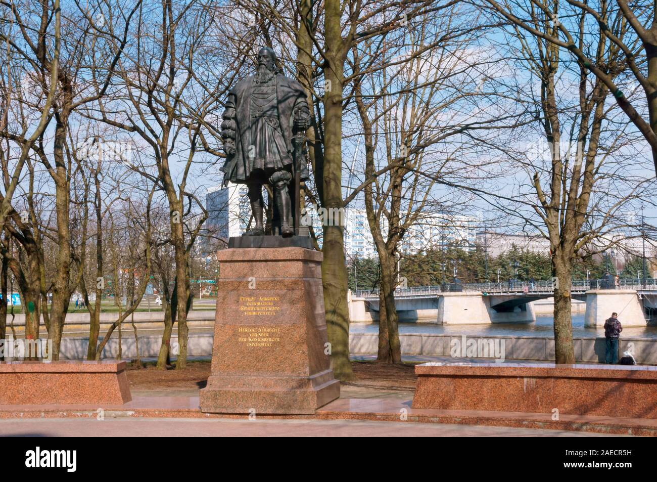 monument to Duke Albrecht, statue of the Duke of Prussia, Cathedral ...
